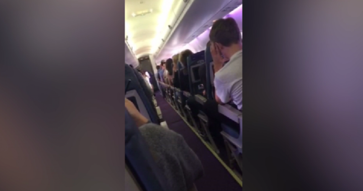 Σκηνές πανικού σε αεροσκάφος της Ryanair: Επιβάτες πηδούν από τα φτερά - 18 τραυματίες | Alfavita